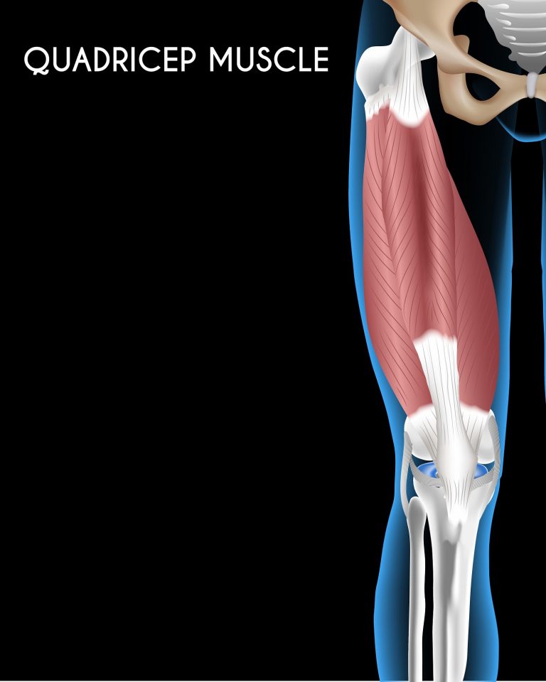 Quadriceps Injuries — Access Ortho