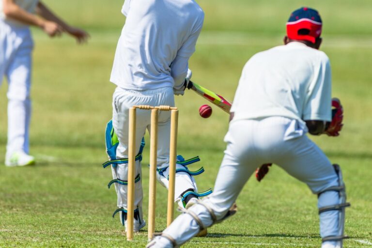 Cricket — Access Ortho